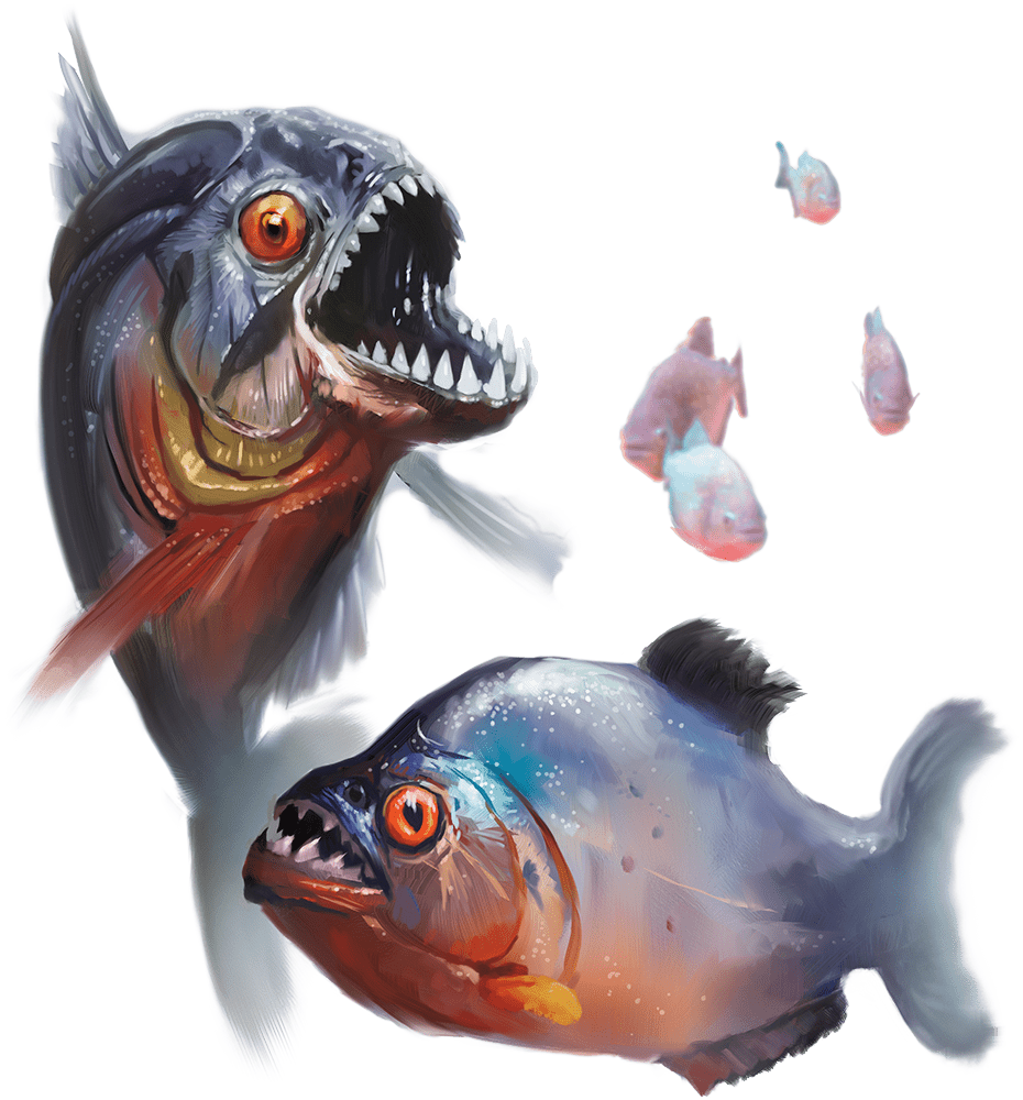 Playground: The Barter Fish